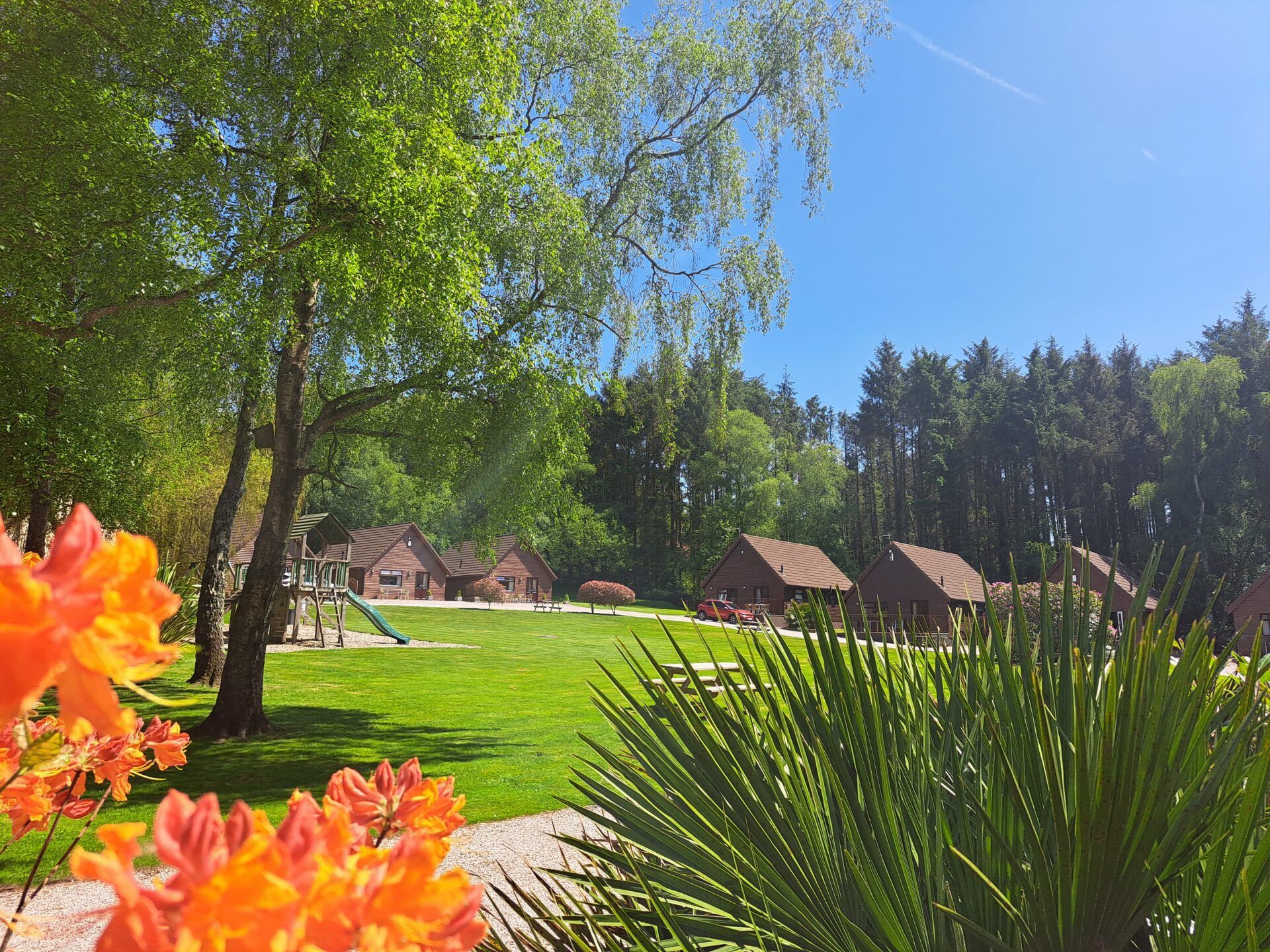 Alpine Park Cottages - Sidmouth Town Council