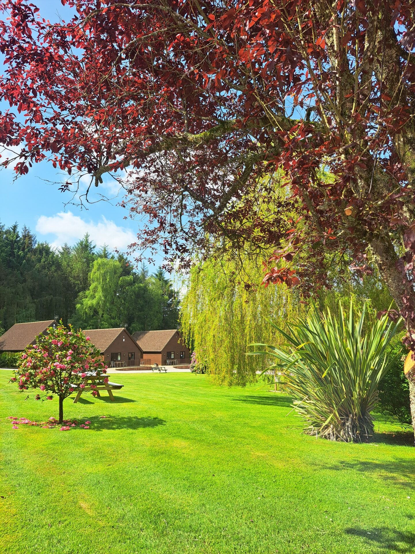 Alpine Park Cottages - Sidmouth Town Council