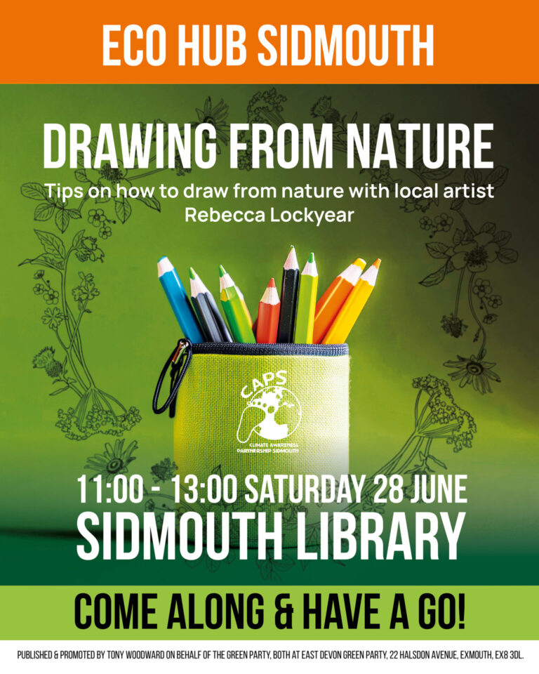 Sidmouth Eco Hub - Drawing from Nature - Sidmouth Town Council